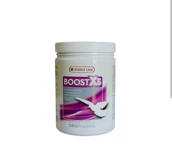 BOOST X5 500g VERSELE LAGA | Assunção Pigeons